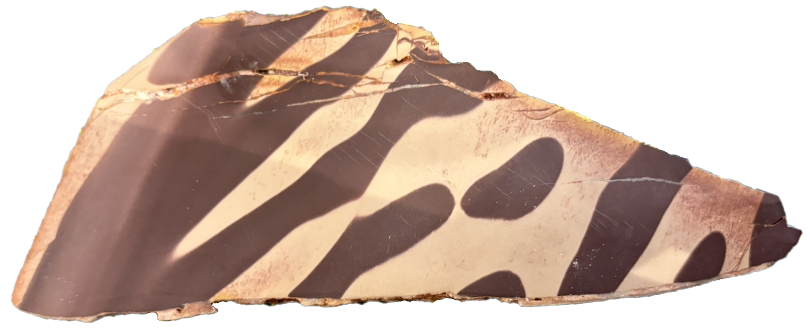 Zebra Rock - Siop Sian